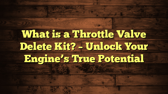 What is a Throttle Valve Delete Kit? - Unlock Your Engine's True Potential